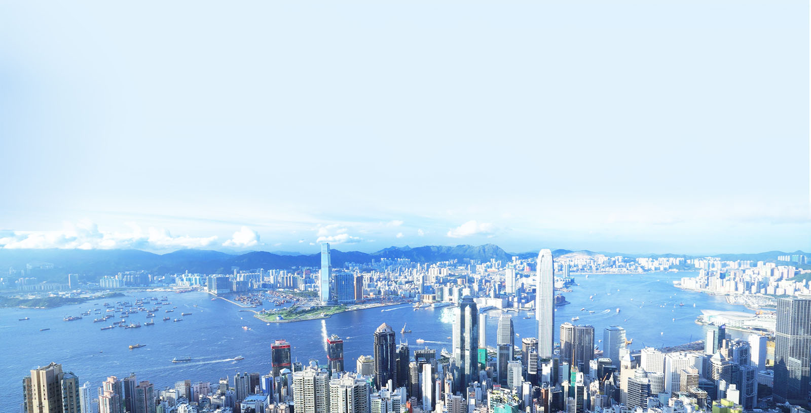 Management Team | Hip Hing